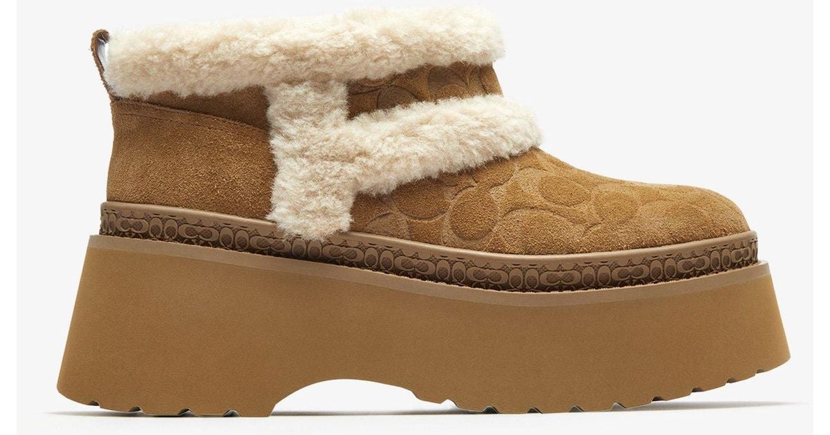 COACH Christina Booties in Brown | Lyst