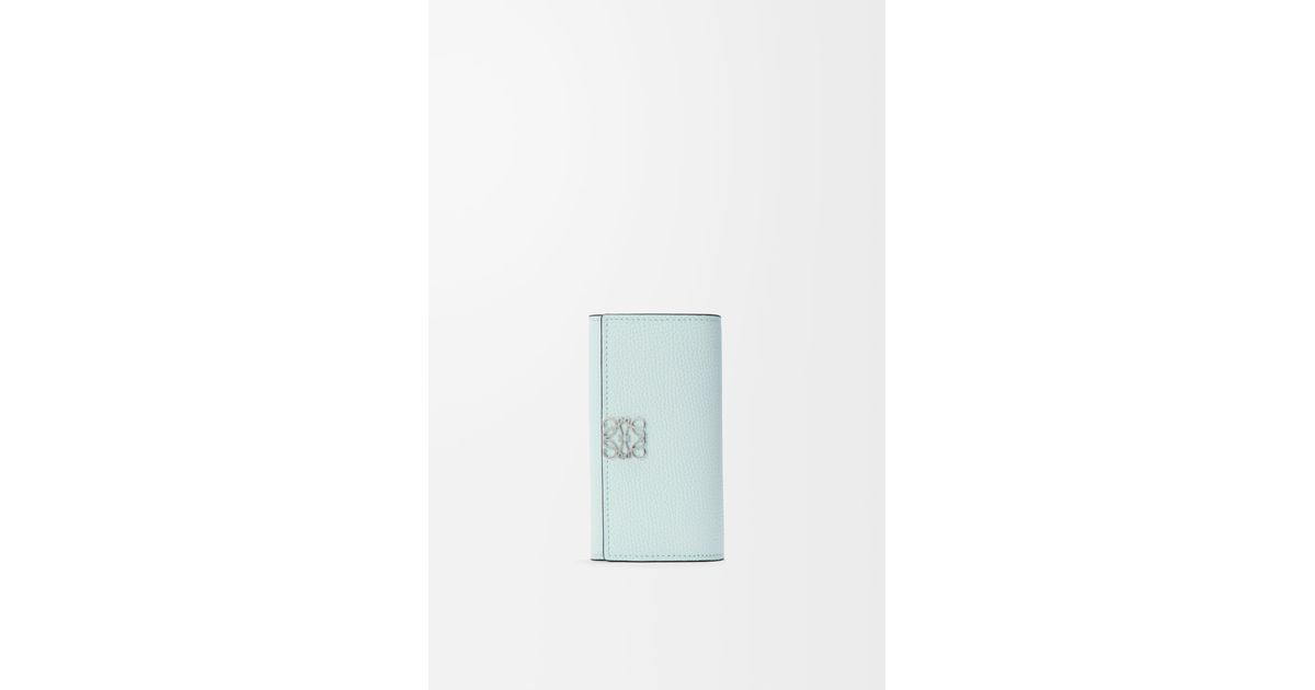 Loewe Anagram Key Case in Blue | Lyst UK