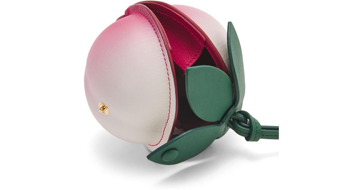 Loewe Luxury Peach Pouch In Classic Calfskin in White | Lyst