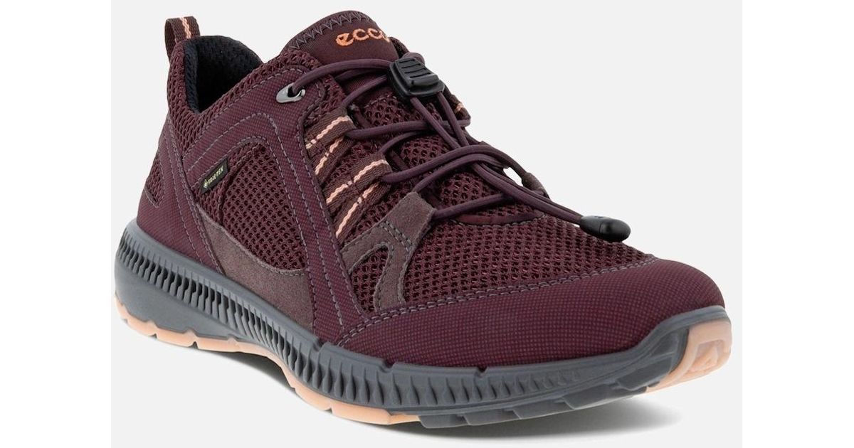 Ecco Terracruise Ii Gore-Tex Walking Trainers in Purple | Lyst UK