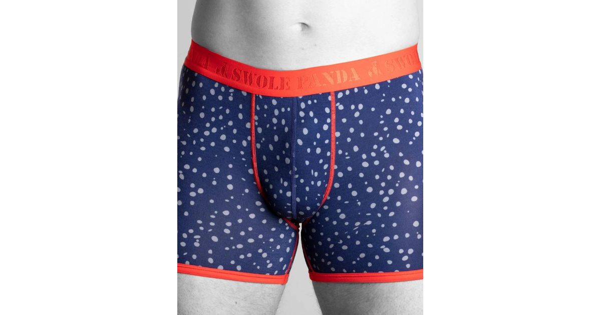 Swole Panda Spots Bamboo Boxer Brief in Blue | Lyst UK