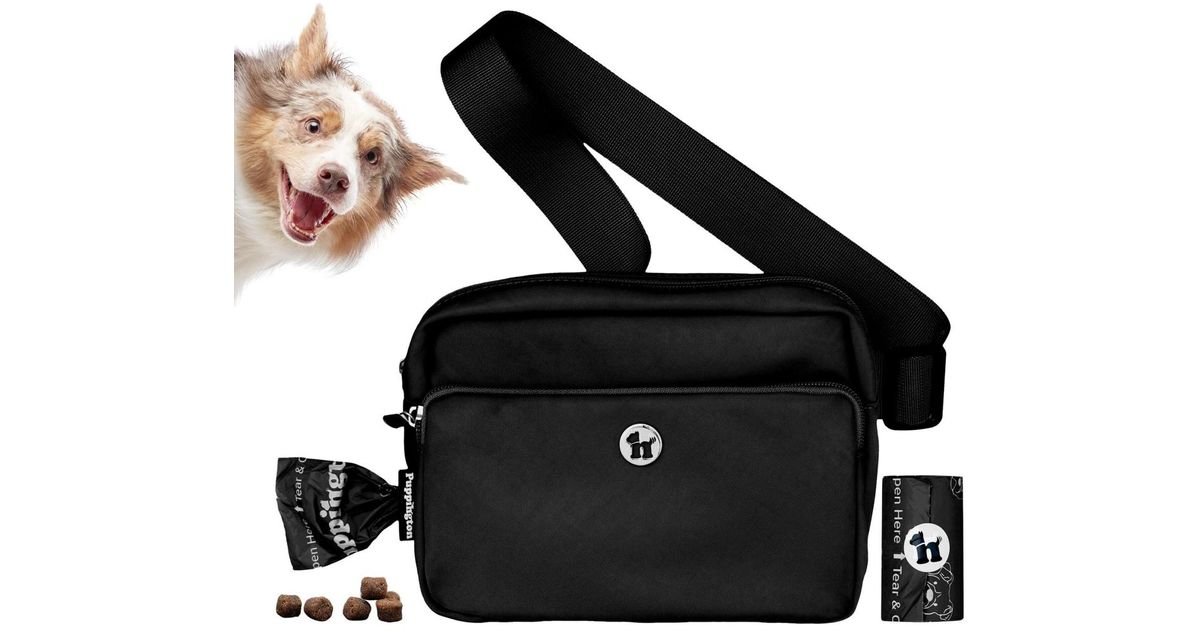 Puppington 3-in-1 Crossbody Dog Walk Bag in Black | Lyst