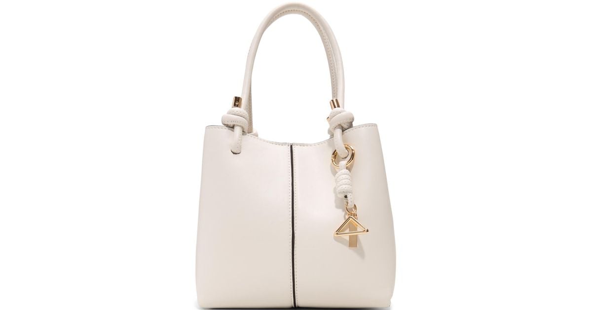 ALDO Evielilyyx Small Satchel Bag in Natural | Lyst