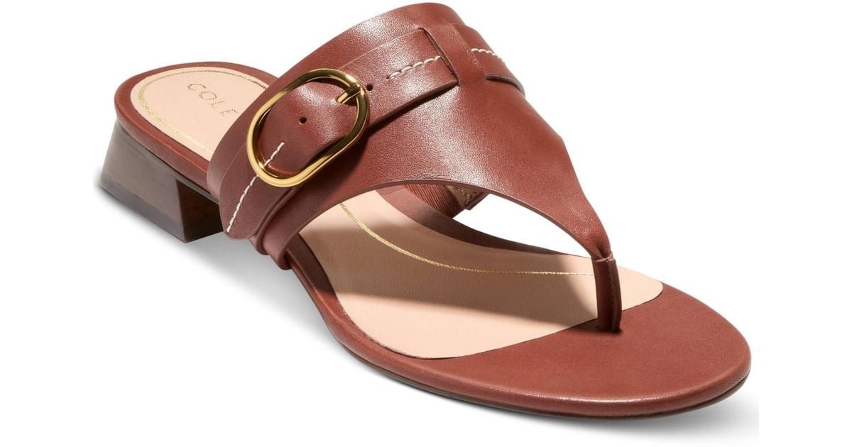 Cole Haan Gayle Thong Flat Sandals in Brown | Lyst