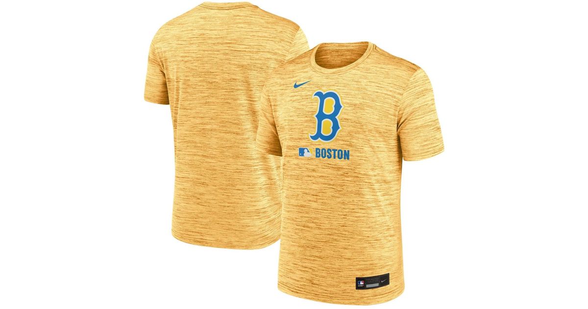 Nike Boston Red Sox 2025 City Connect Authentic Collection Velocity Performance T-shirt in ...