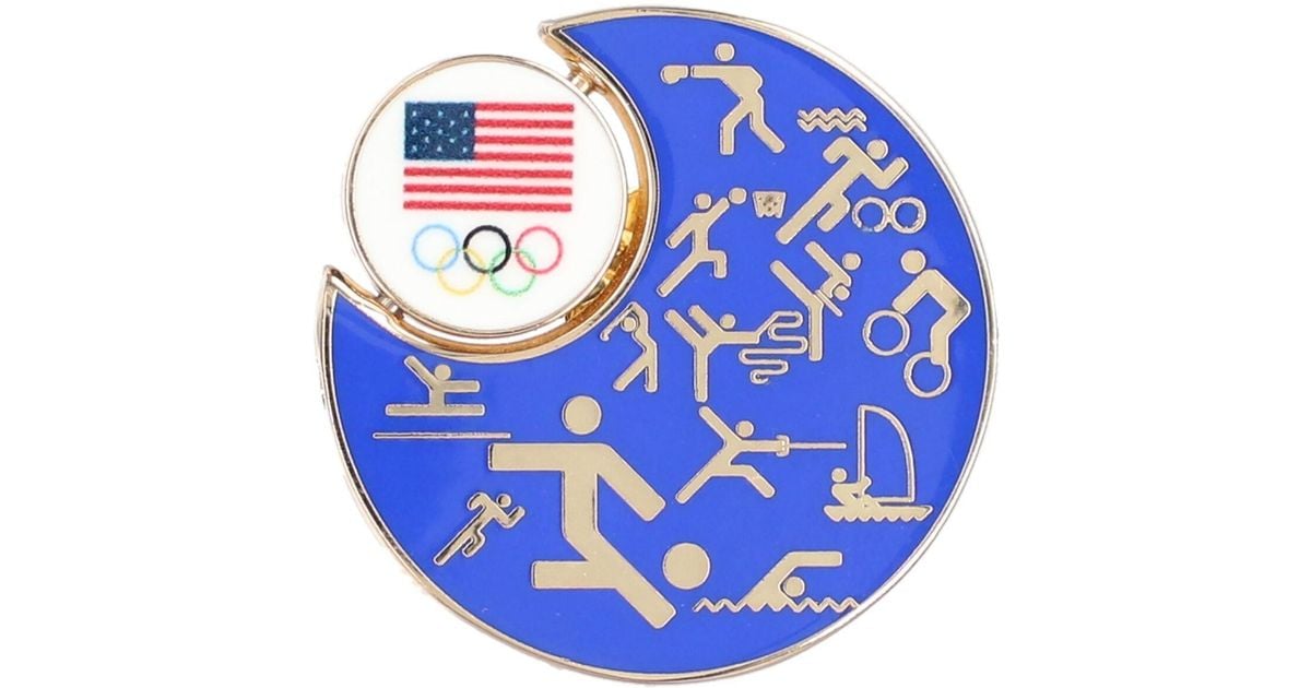 Honav Team Usa Pictogram Spinner Lapel Pin in Blue | Lyst