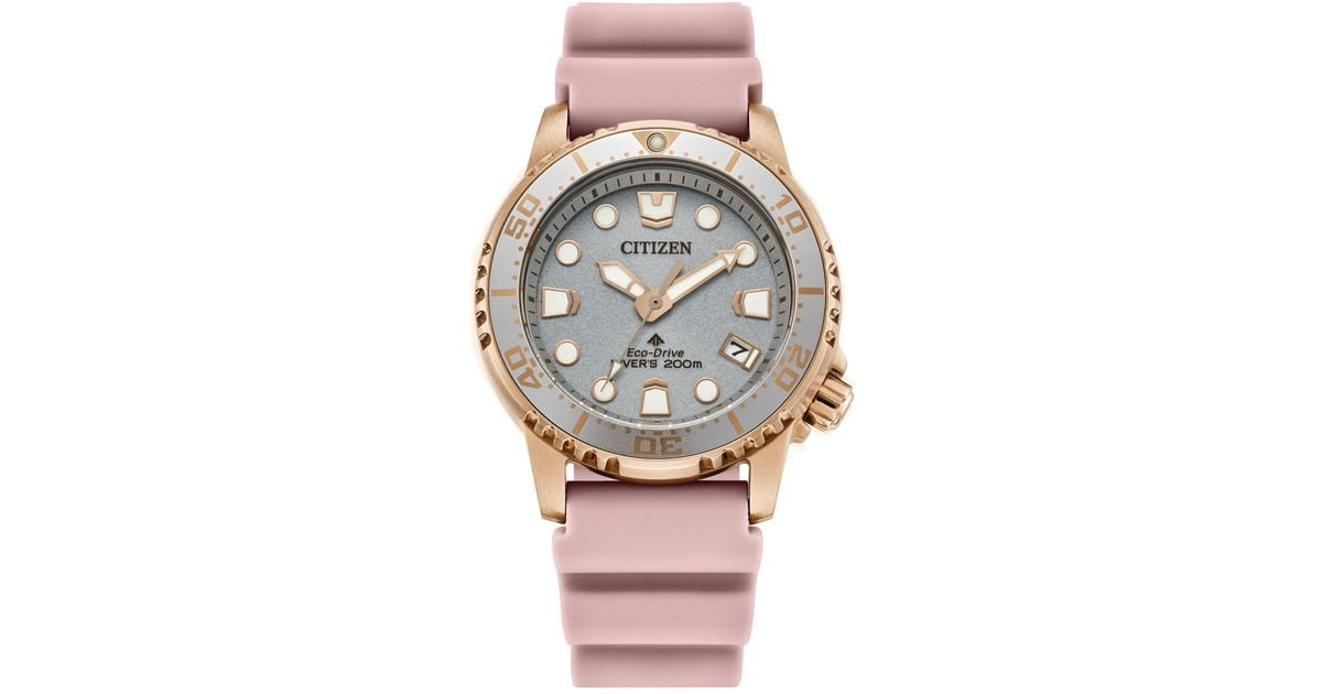 Citizen Promaster Dive Pink Strap Watch 37mm in Gray | Lyst
