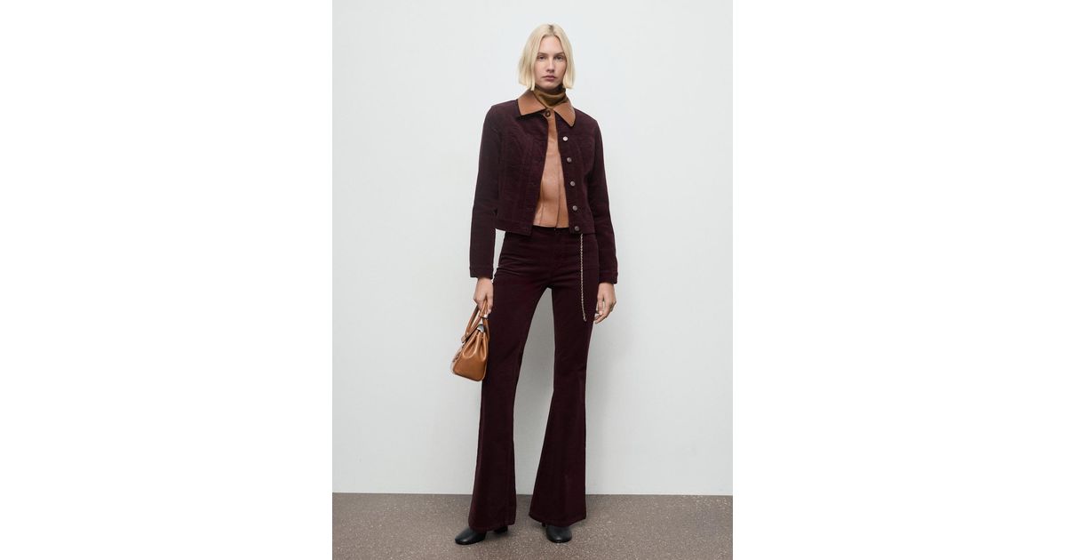 Mango Velvet Bomber Jacket With Stitching | Lyst UK