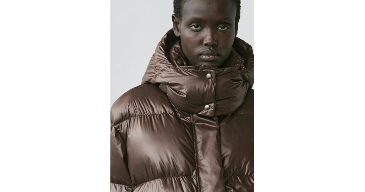 MASSIMO DUTTI Shiny Puffer Jacket in Brown | Lyst UK