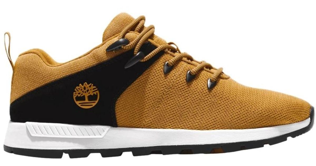Timberland Sprint Trekker Lace-Up Low Trainer For in Brown for Men | Lyst