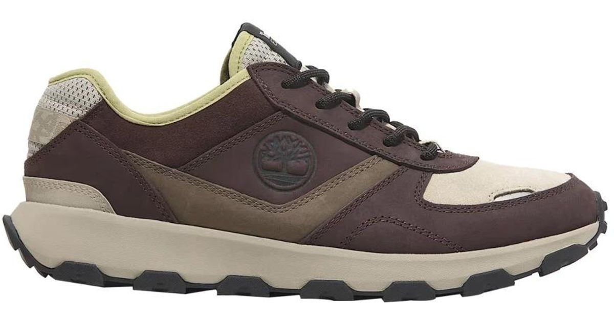 Timberland Sneakers in Brown for Men | Lyst