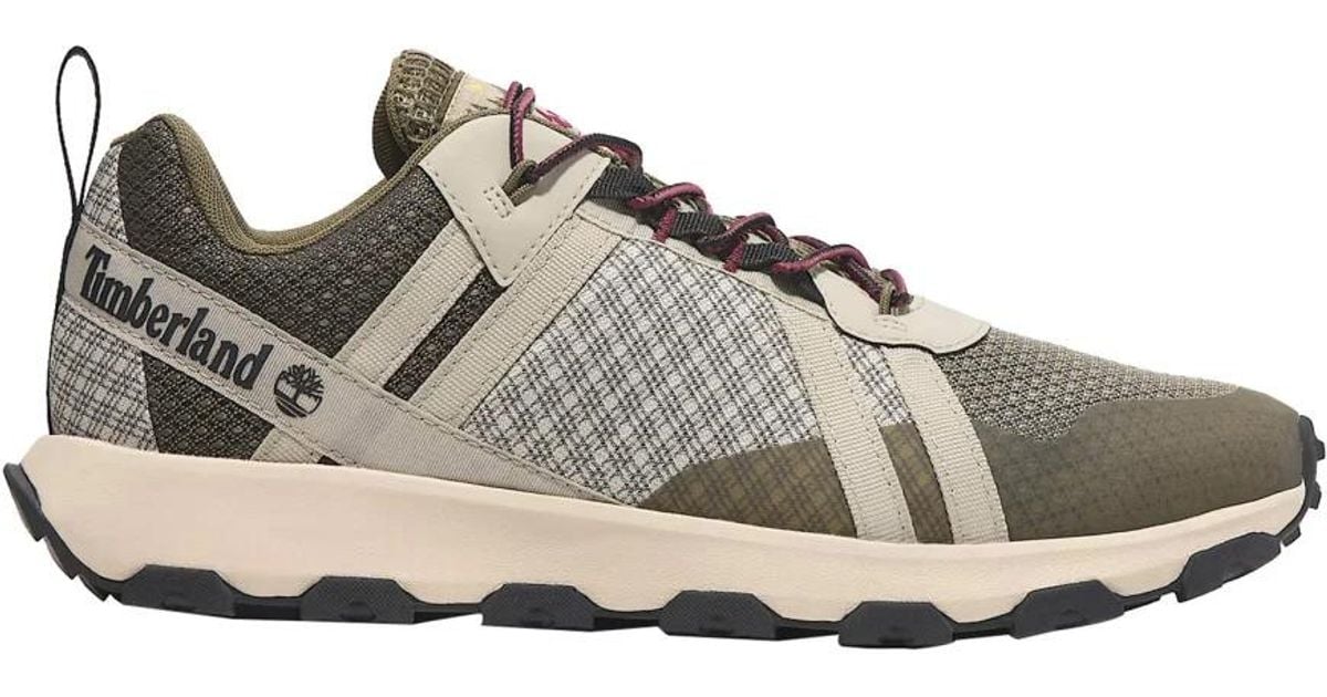 Timberland Sneakers in Gray for Men | Lyst