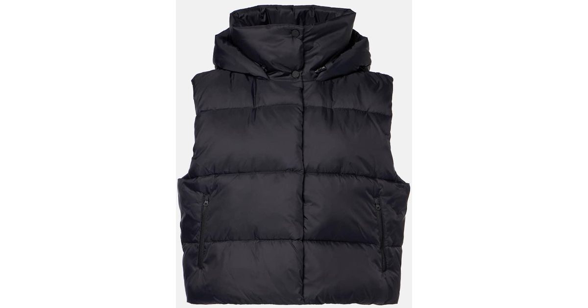 Alo Yoga Gold Rush Puffer Vest in Black | Lyst