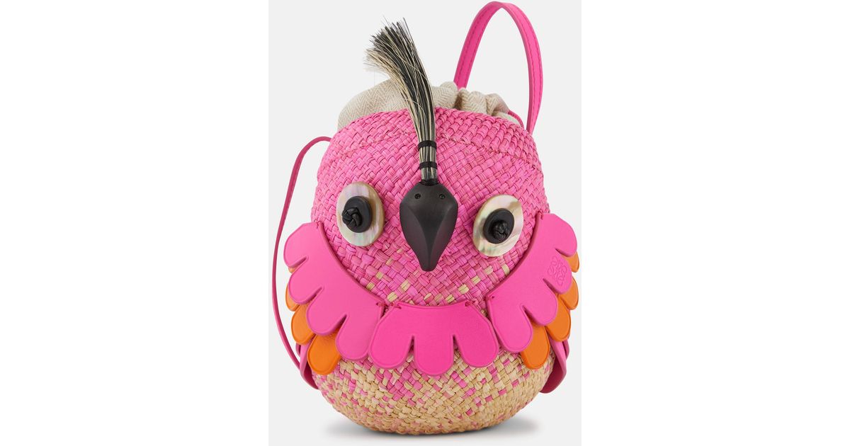 Loewe Bird Mini Raffia Crossbody Bag in Pink | Lyst UK