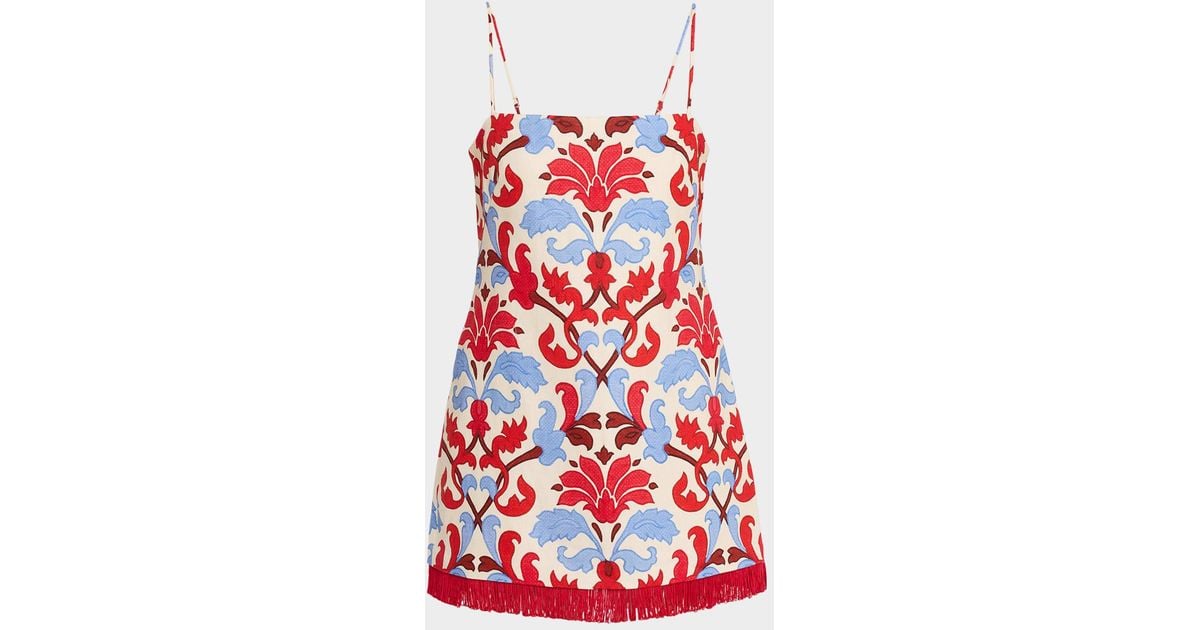 Cara Cara Valencia Printed Mini Dress in Red | Lyst
