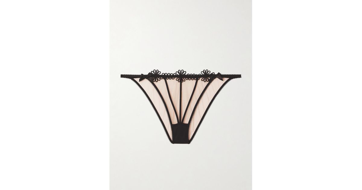Agent Provocateur Coletta Grosgrain-Trimmed Appliquéd Tulle Briefs in ...