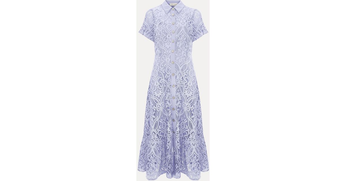 Phase Eight Carmine Lace Dress in Purple | Lyst