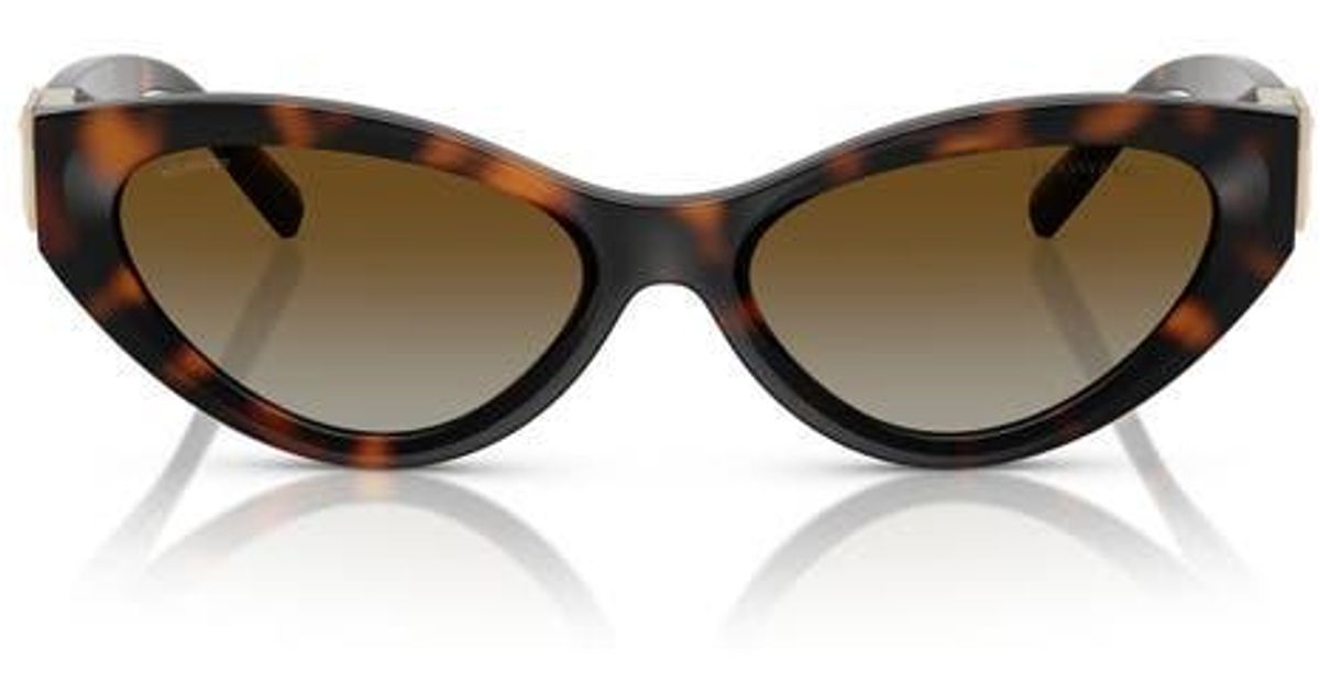 Tiffany & Co. 54Mm Polarized Gradient Oval Sunglasses in Brown for Men ...