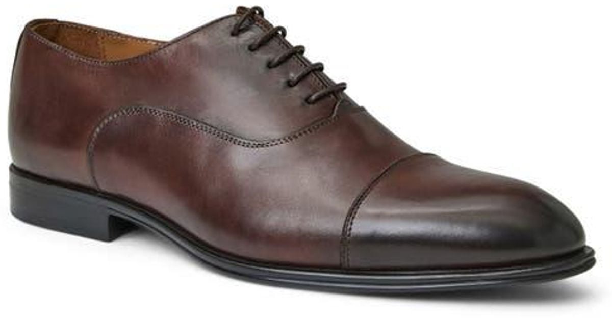 Bruno Magli Adriano Cap Toe Oxford in Brown for Men | Lyst