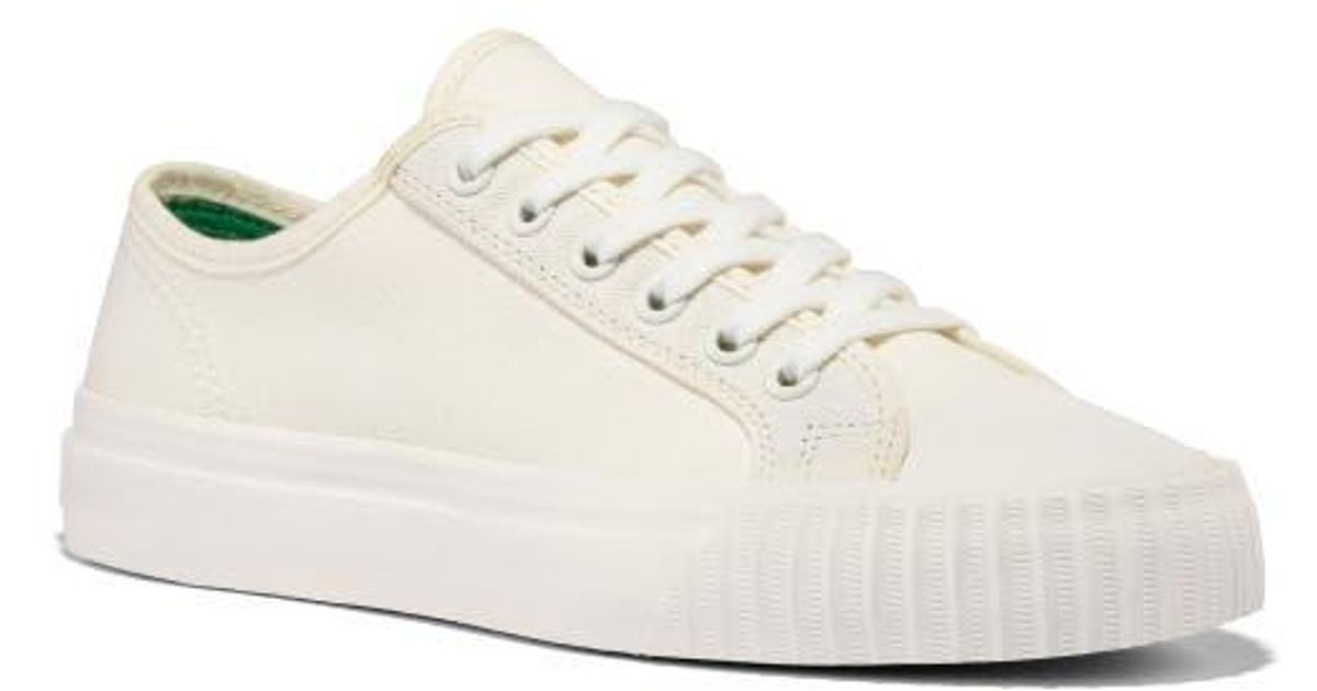 PF Flyers Center Low-Top Sneaker in White | Lyst