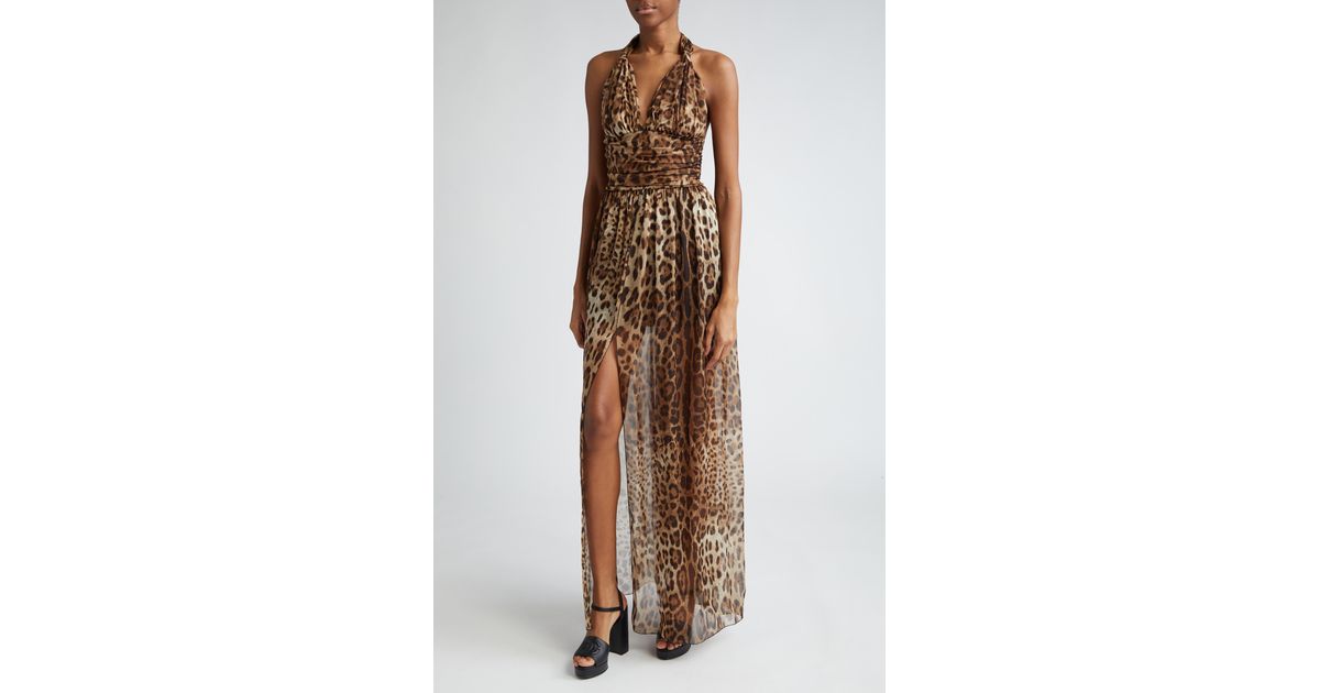 Dolce And Gabbana Leopard Print Silk Chiffon Halter Dress Lyst