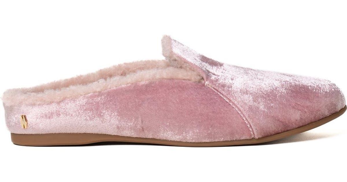 Mave & Chez Maya Velvet Slipper in Pink | Lyst