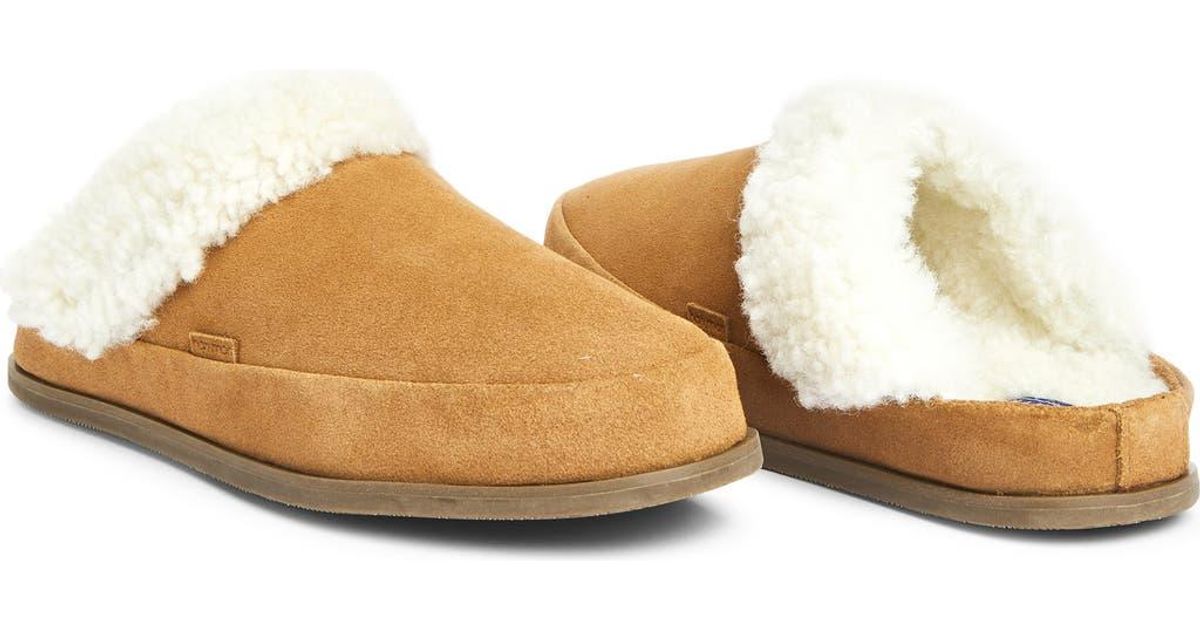 Hari Mari Tia Genuine Shearling Lined Slipper in Brown | Lyst