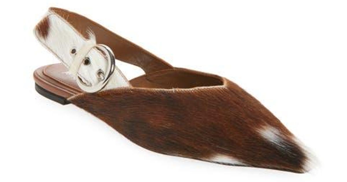 Jeffrey Campbell Scone Genuine Calf Hair Slingback Flat in Brown | Lyst