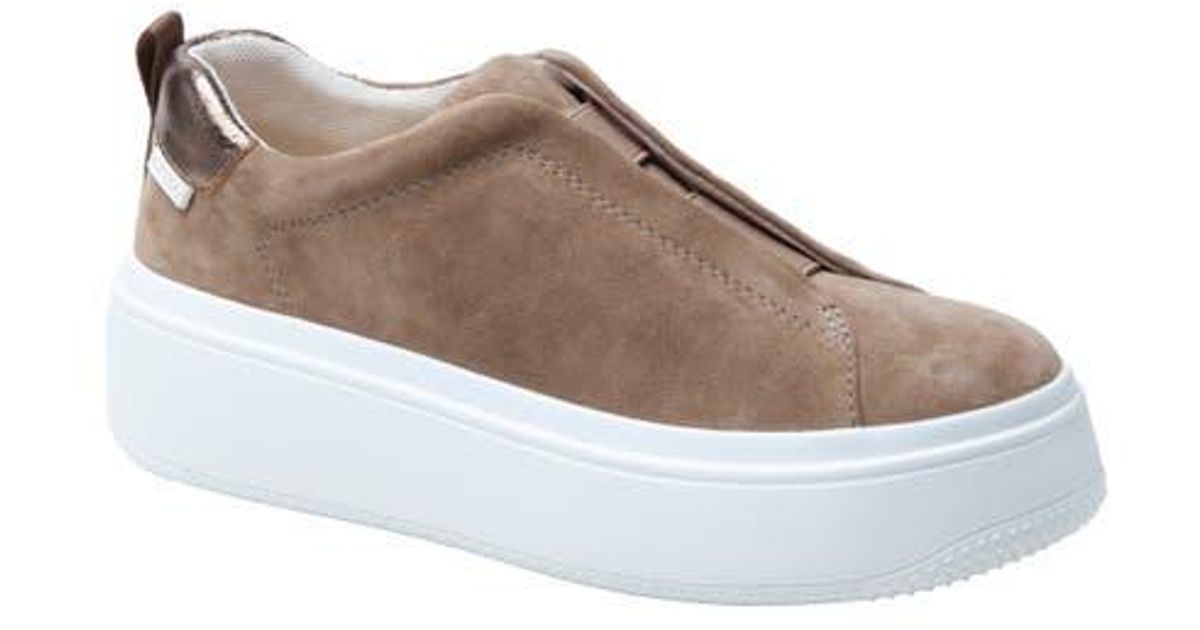 Linea Paolo Golde Platform Sneaker in Brown | Lyst