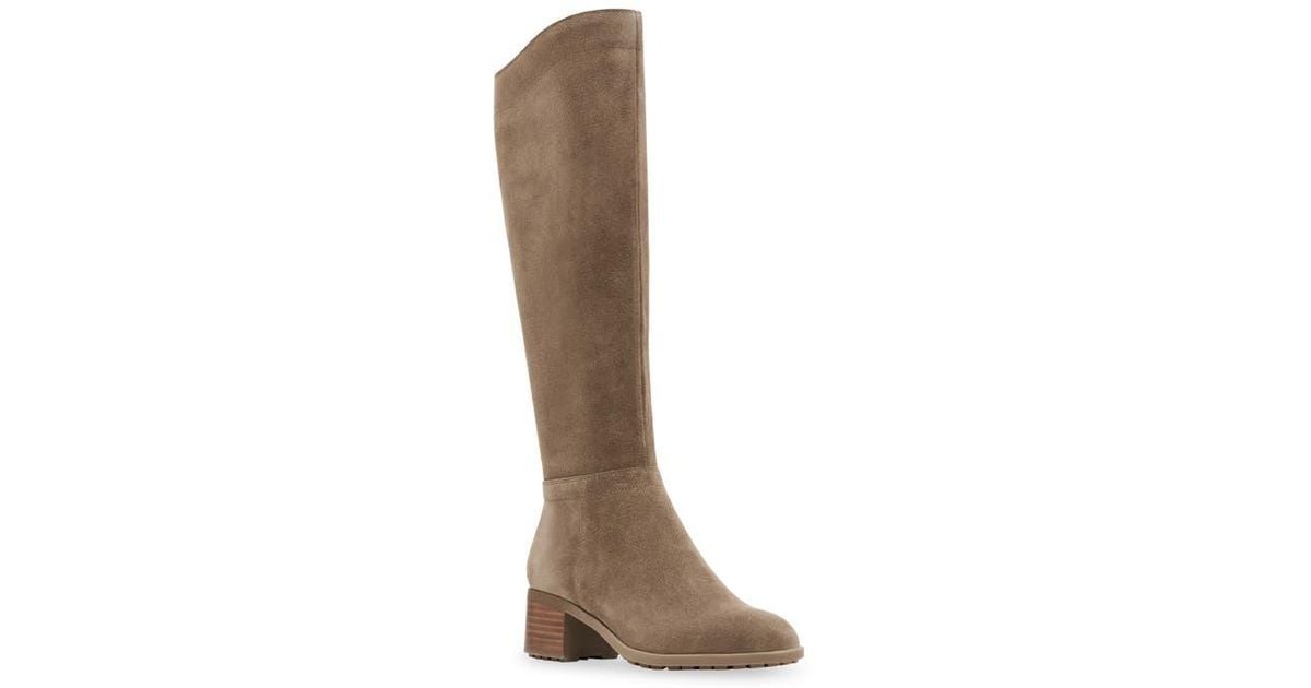 Blondo Tatiana Waterproof Knee High Boot in Brown | Lyst