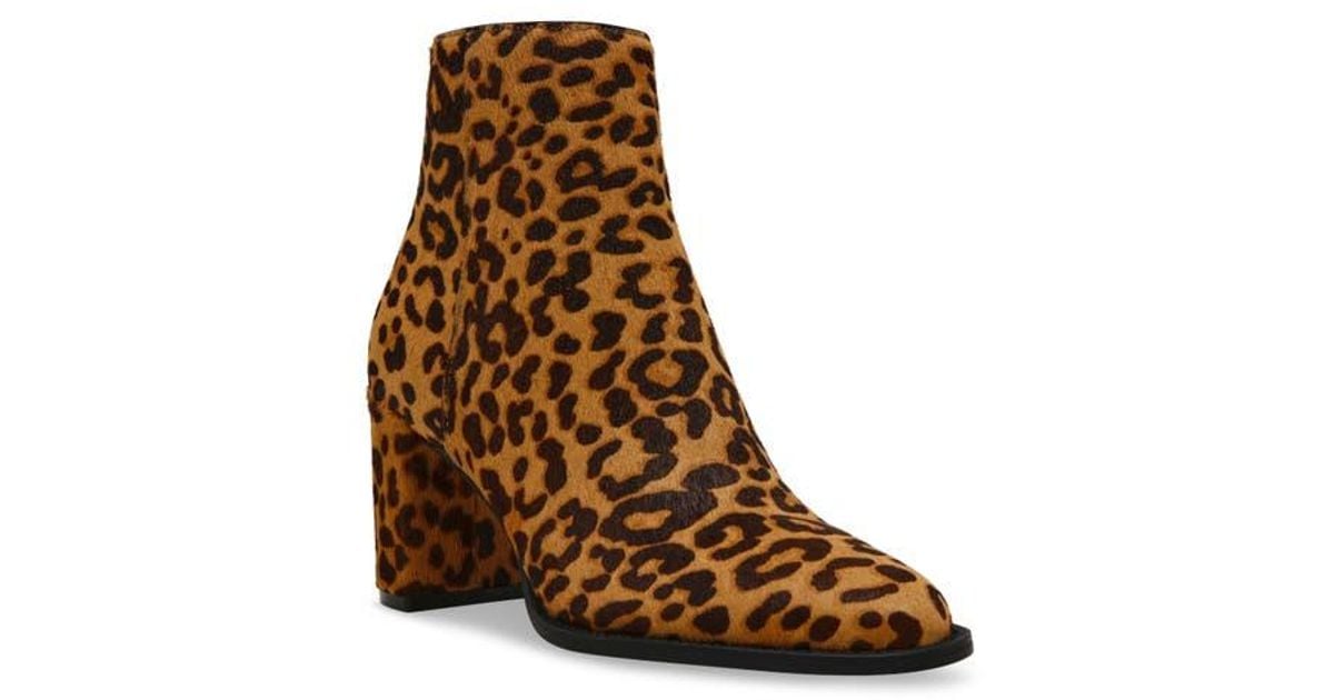 Steve Madden Jozie Genuine Calf Hair Bootie in Brown | Lyst