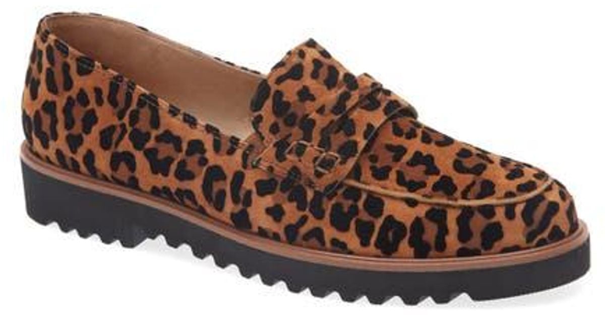 Paul Green Paul Zelda Leopard Print Lug Sole Loafer in Brown | Lyst