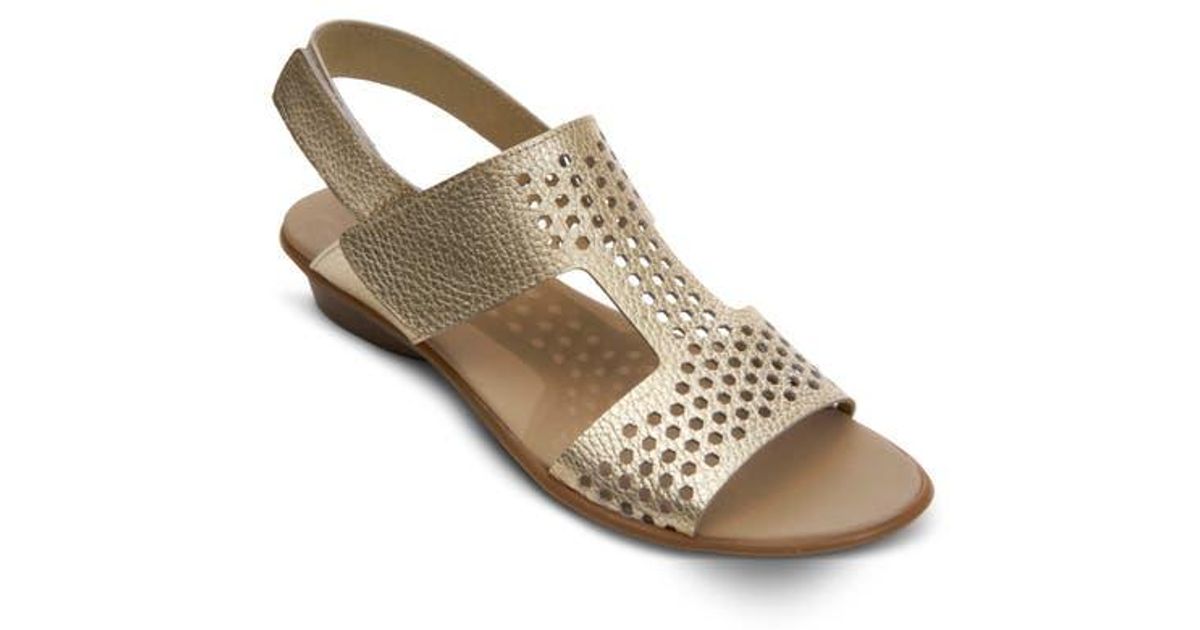 Sesto Meucci Elicia Slingback Sandal | Lyst