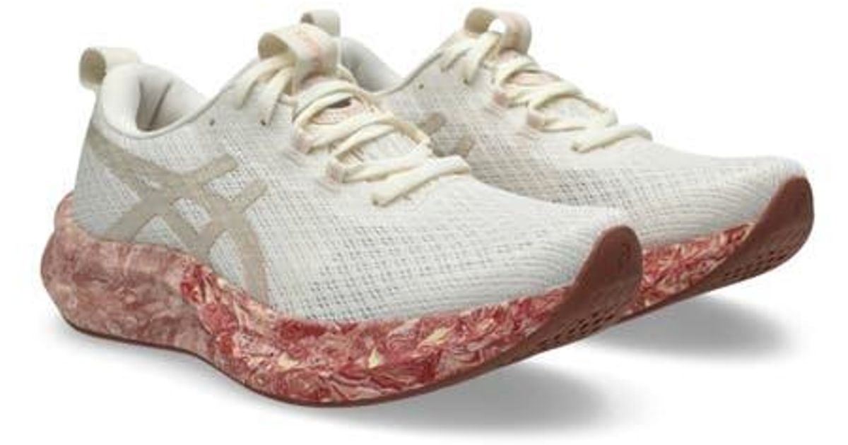 Asics Noosa Tri 16 Running Shoe in White | Lyst