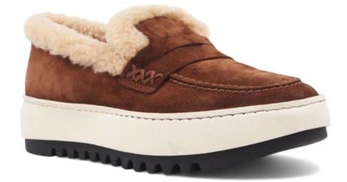 Aquatalia Ameila Genuine Shearling Lined Weatherproof Penny Loafer in ...