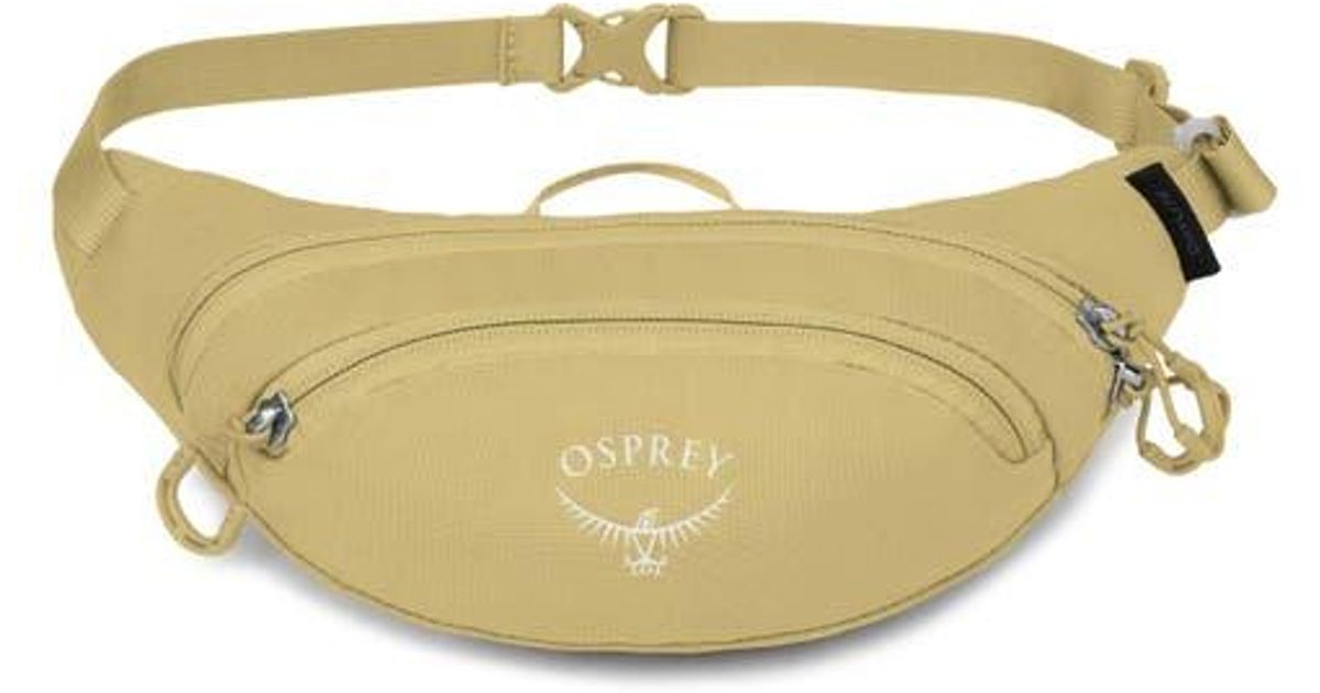 Osprey Daylite Mini Waist Pack in Metallic | Lyst