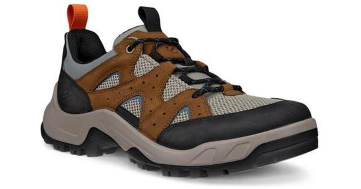 Ecco Offroad Hiking Sneaker in Brown for Men | Lyst