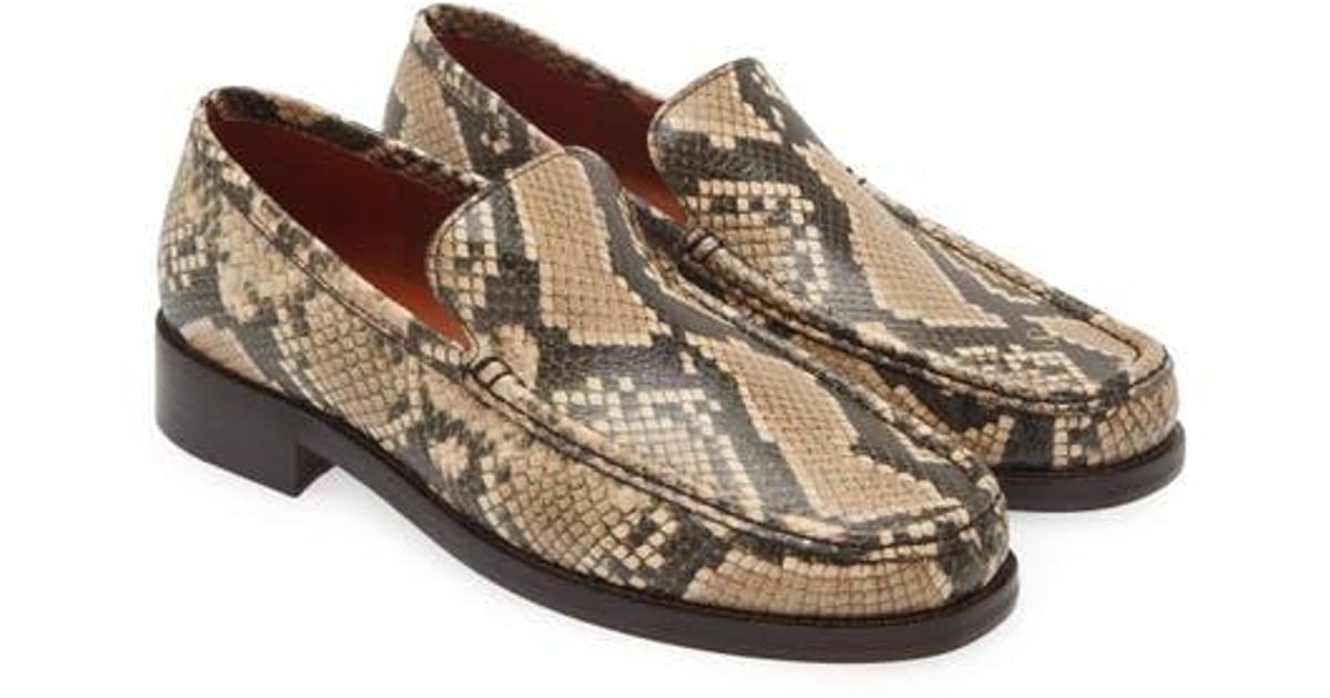 Acne Studios Snakeskin Print Loafer in Brown for Men | Lyst