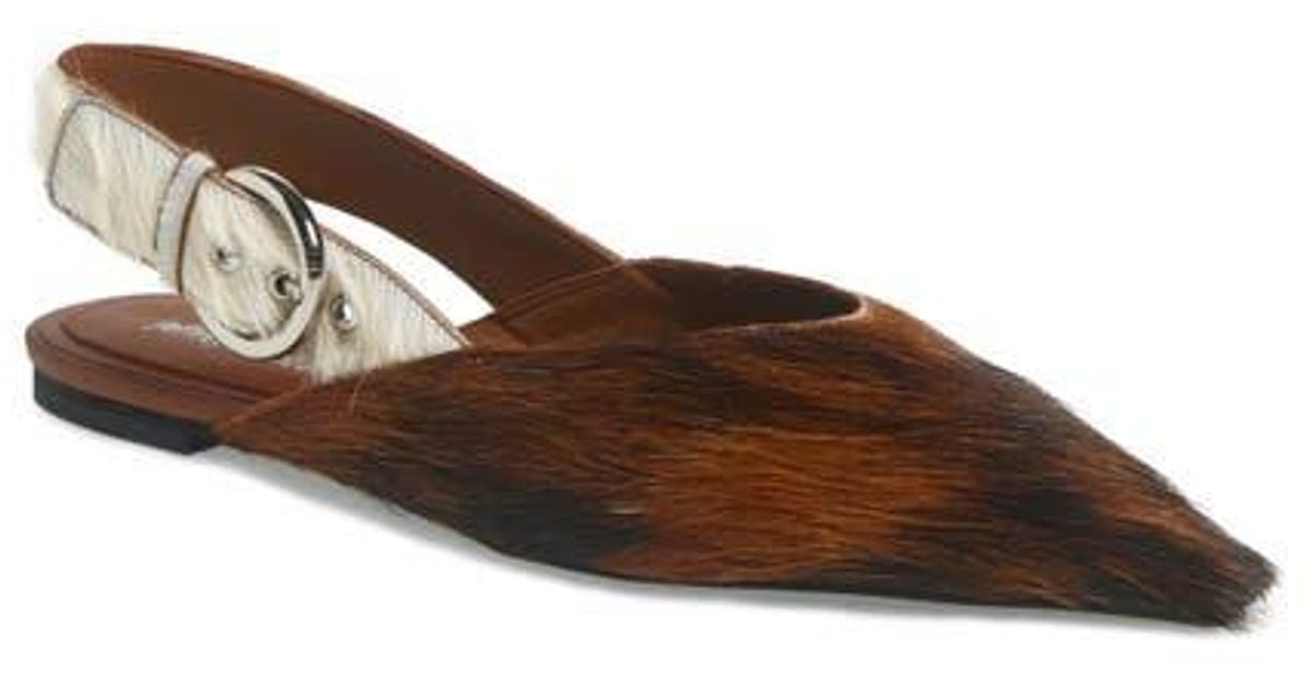 Jeffrey Campbell Scone Genuine Calf Hair Slingback Flat in Brown | Lyst