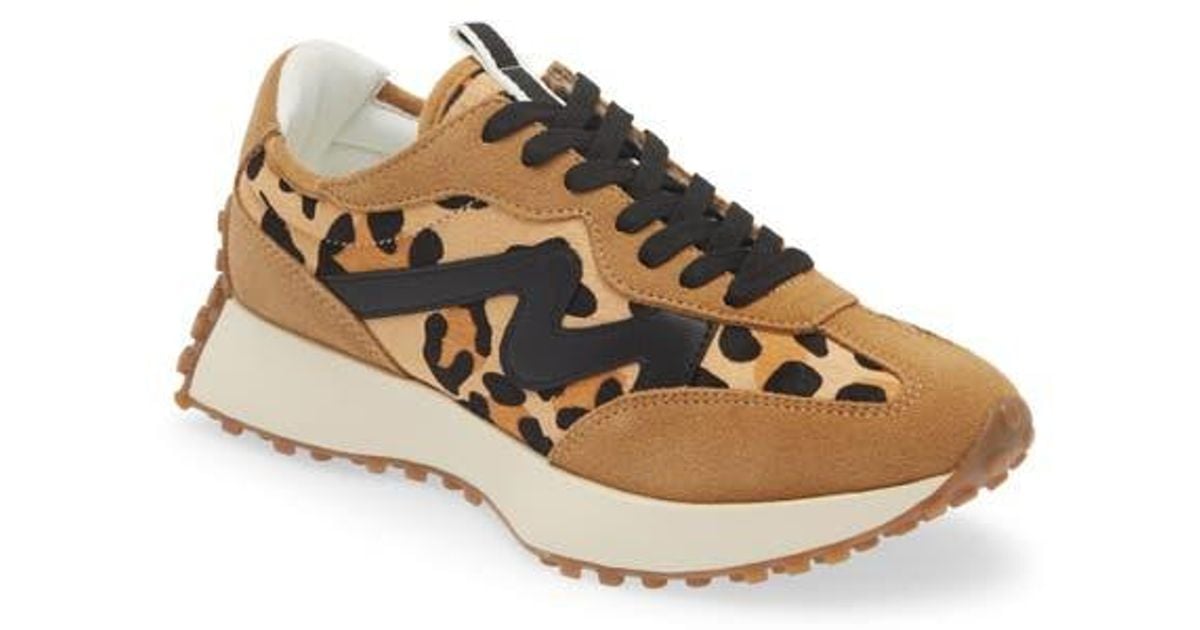 Steve Madden Campo-L Leopard Print Genuine Calf Hair Sneaker | Lyst