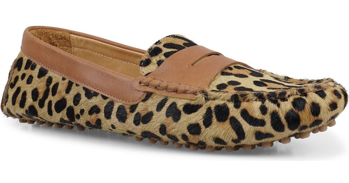 National Comfort Talulah Penny Loafer in Brown | Lyst