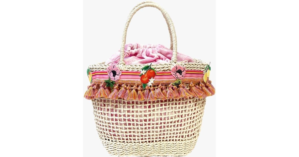Anna Sui Raffia Tassel Bag in Red | Lyst