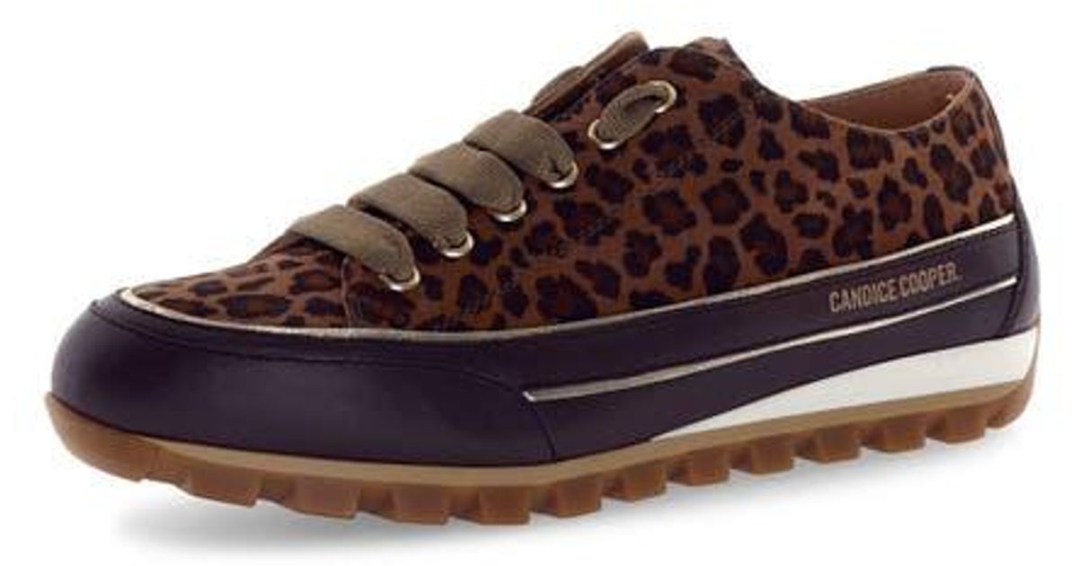 Candice Cooper Janis Strip Chic Sneaker in Brown | Lyst