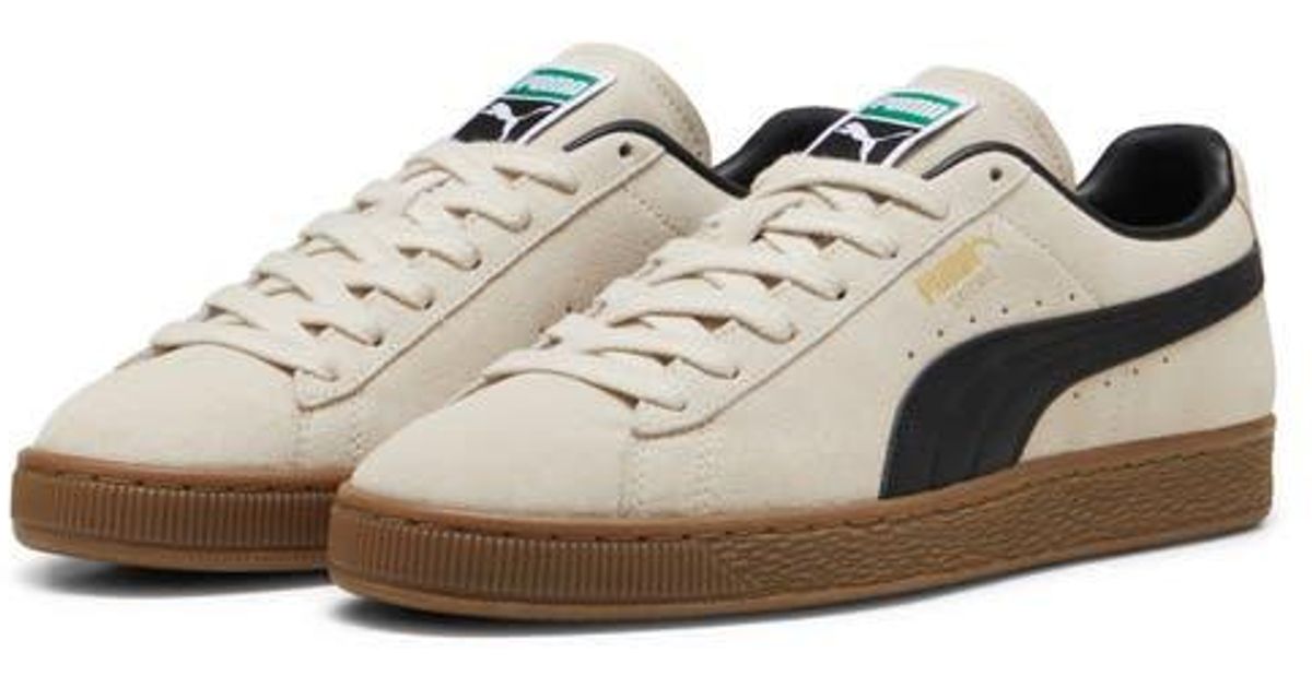 PUMA Suede Terrace Sneaker in White for Men | Lyst