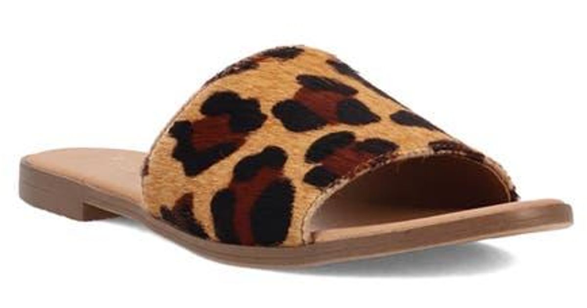 Dingo Tabby Genuine Calf Hair Slide Sandal in Brown | Lyst