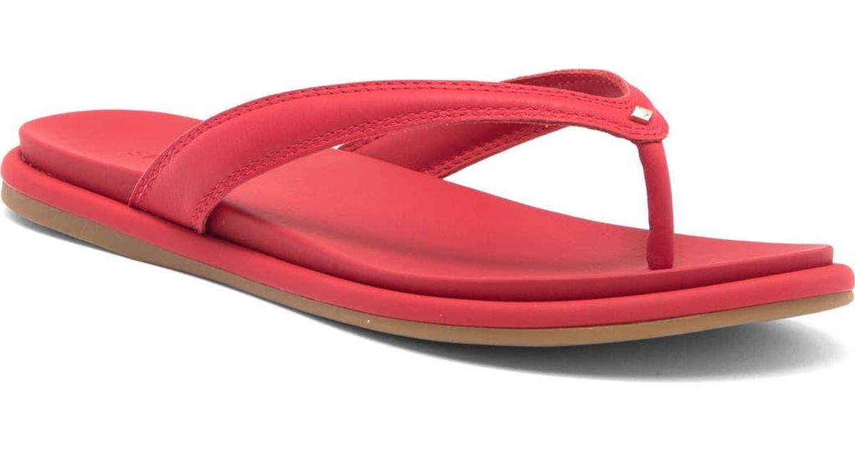 Sperry Top-Sider Isla Flip Flop in Pink | Lyst