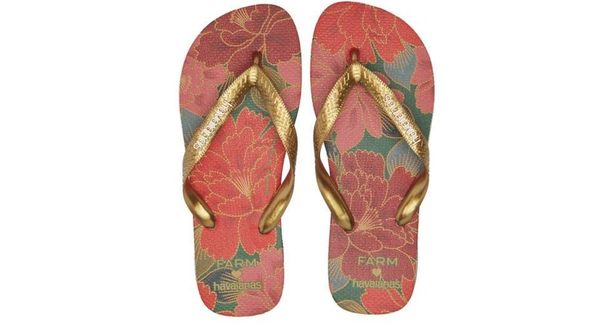 Havaianas X Farm Rio Parrot Floral Flip Flop in Red | Lyst