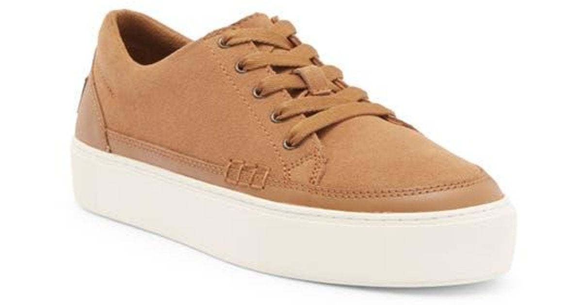 UGG Zilo Platform Sneaker in Brown | Lyst