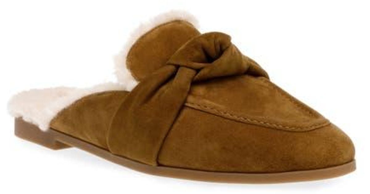 Steve Madden Suede Shearling-Lined Mule Loafers in Brown | Lyst
