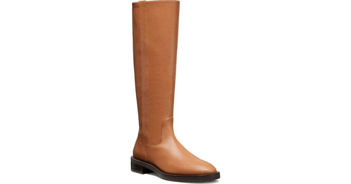 Stuart Weitzman Sadie Knee High Riding Boot in Brown | Lyst
